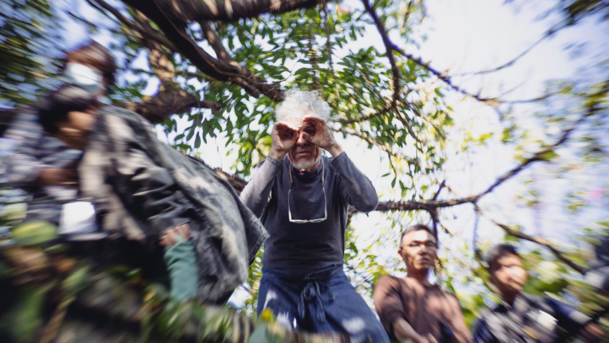 Cinematographer Christopher Doyle: The Maverick Who Revolutionized ...