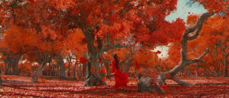 Cinematographer Christopher Doyle: The Maverick Who Revolutionized ...