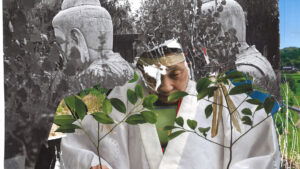 Cinematographer Christopher Doyle: The Maverick Who Revolutionized ...