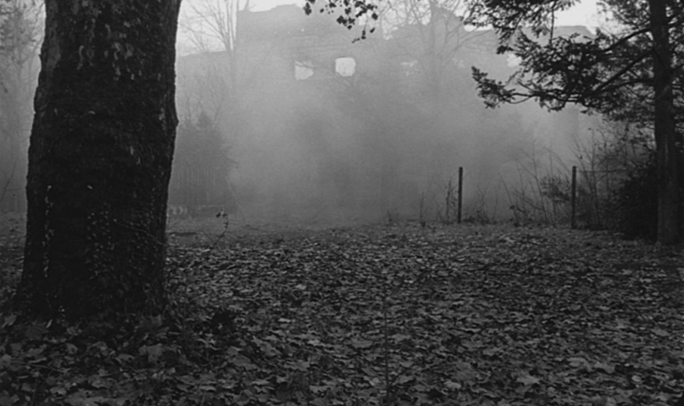 Discover the Mesmerizing World of Slow Cinema: 7 Essential Films to Watch
